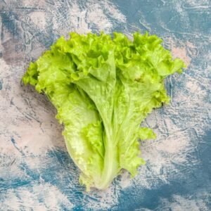 Tipos de lechugas: Mejores variedades para cultivar y consumir